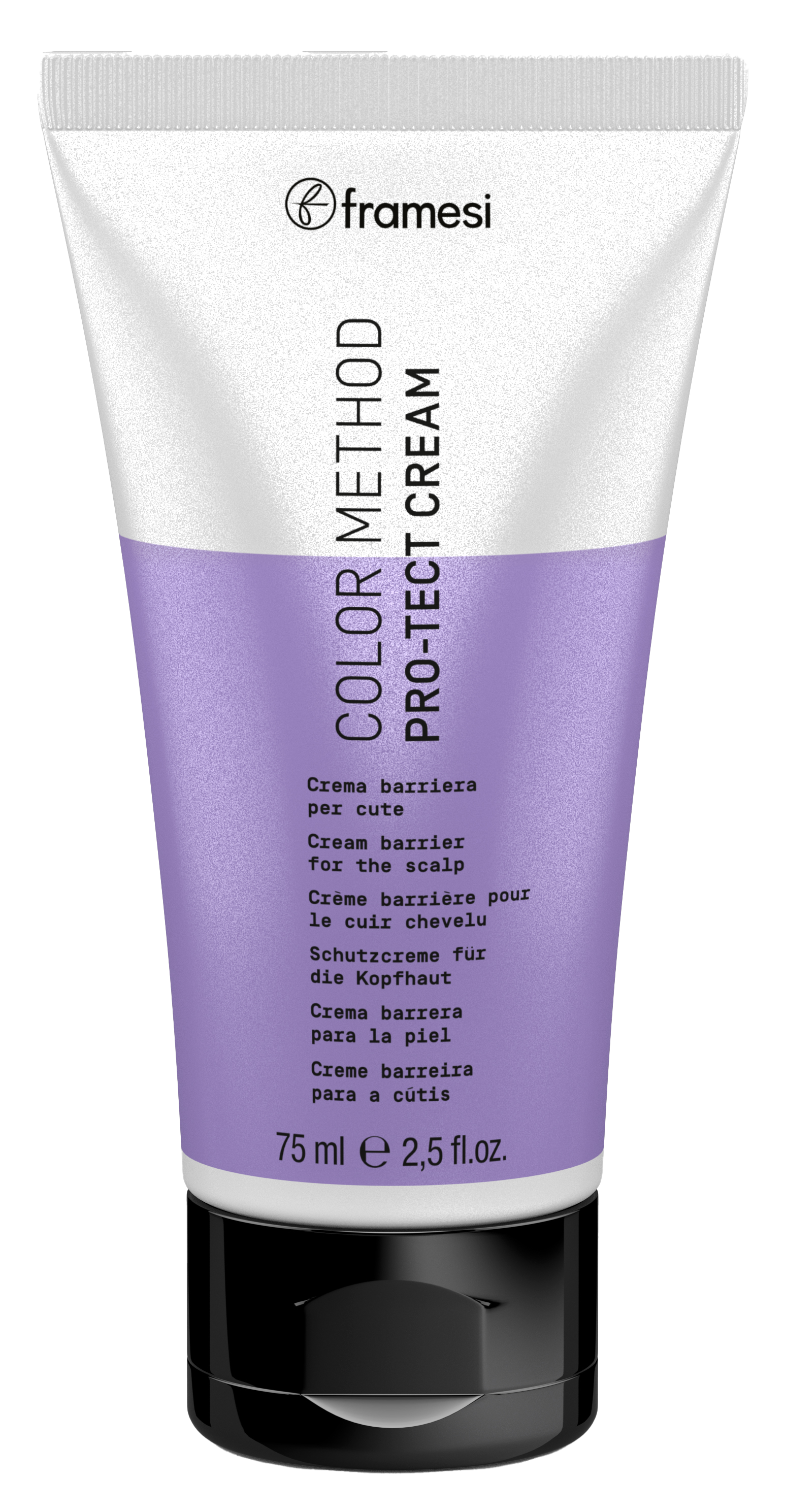 COLOR METHOD | framesi